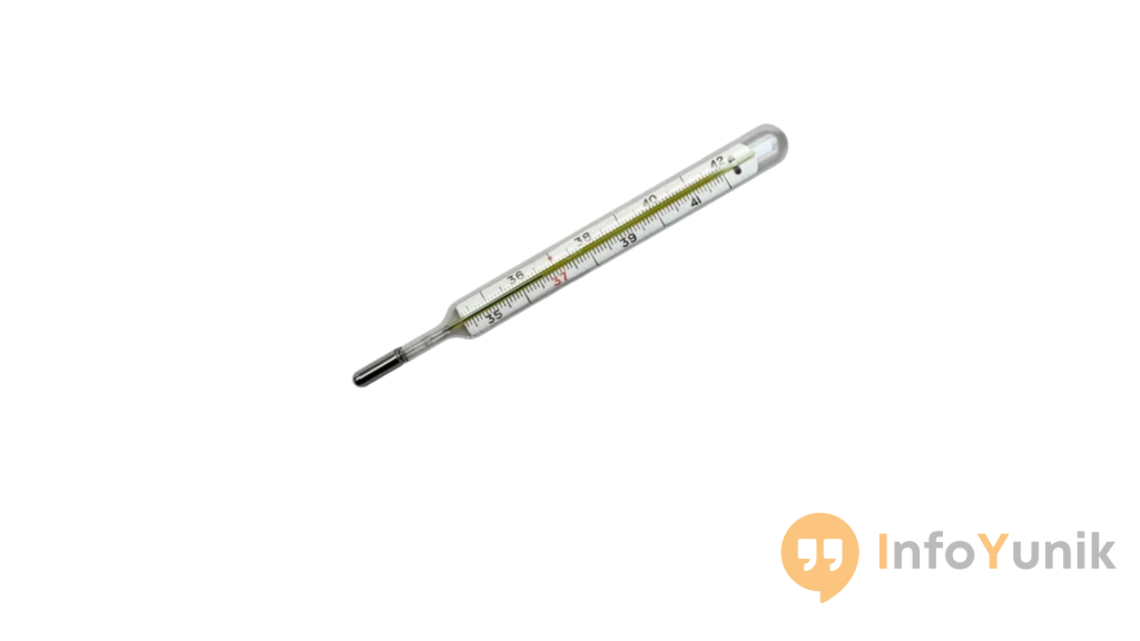 Jenis Termometer Serta Kegunaannya