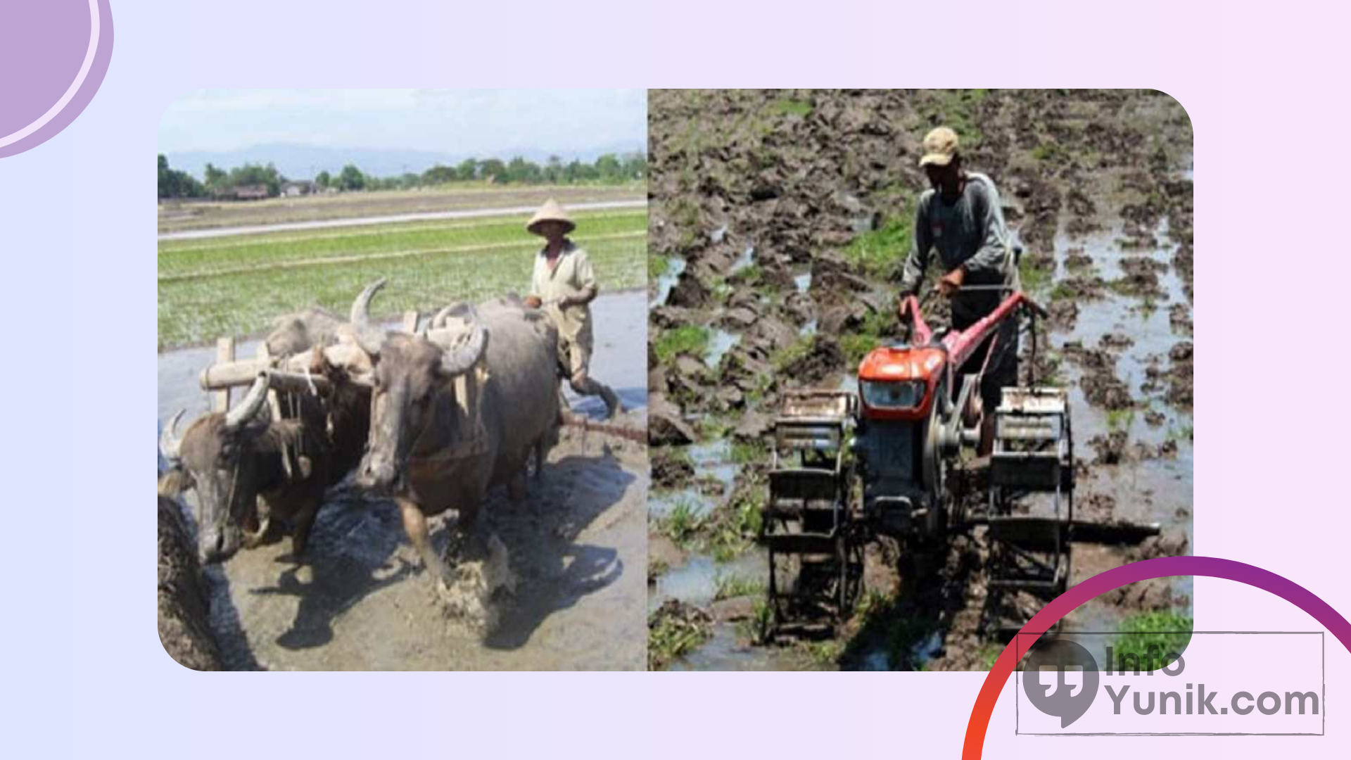 Contoh Perubahan Sosial Di Lingkungan Masyarakat Yang Menarik Dan